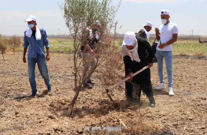 الإغاثة الزراعية تطلق حملة "ايد بايد بندعم صمودنا وبنعزز وجودنا" - سما ...